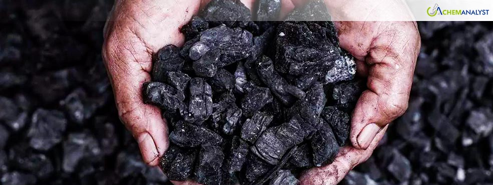 Pet Coke Price Rally Continues in February 2025 Despite a Decline in ...