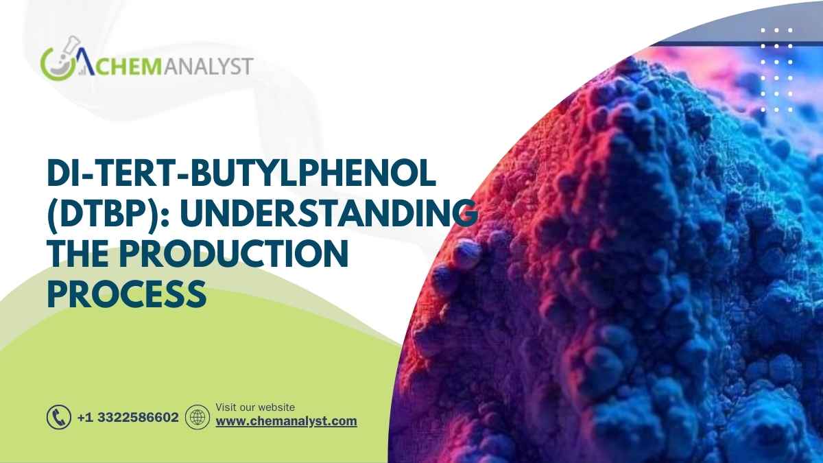 Di-tert-butylphenol (DTBP): Understanding the Production Process