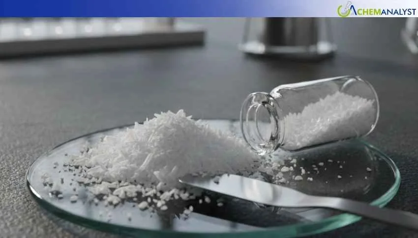 Dutch Benzoic Acid prices Step up 0.8% in Jan 2026, Positive Outlook ...