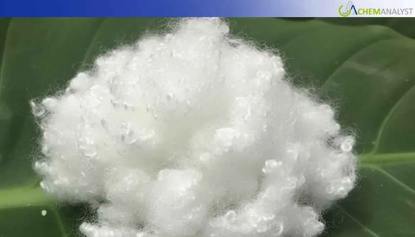 US PSF Prices Firm Despite Weak Feedstock and Downstream Demand ...